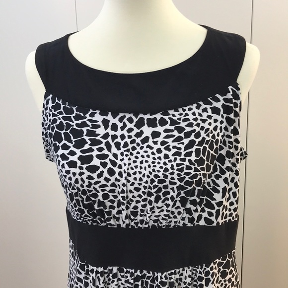 Studio Donatella | Dresses | Studio Donatello L Dress Flattering ...